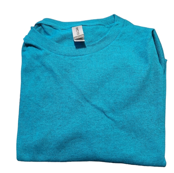 Gildan | Shirts | Gildan Antique Jade Dome T Shirt | Poshmark